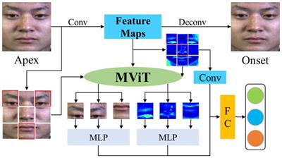 Frontiers | Multi-scale fusion visual attention network for facial micro-expression recognition